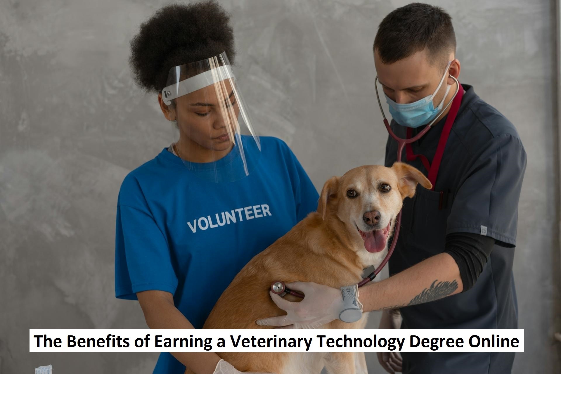 The Benefits of Earning a Veterinary Technology Degree Online | General ...